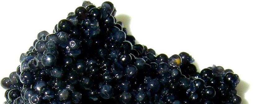 176. Lump Fish Roe Caviar Black - B&M Seafoods Ltd
